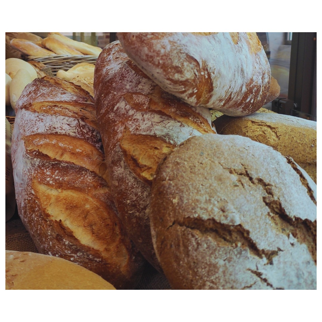 Santa María Panadería